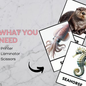 Ocean Animal Flashcards 3 Part Cards Montessori, Toddlers, Preschool ...