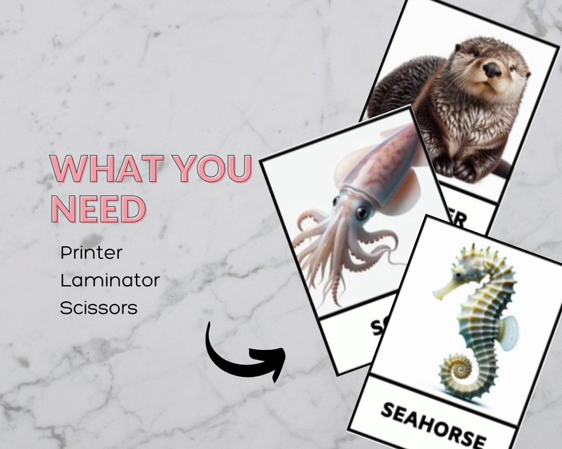 Ocean Animal Flashcards 3 Part Cards Montessori, Toddlers, Preschool ...