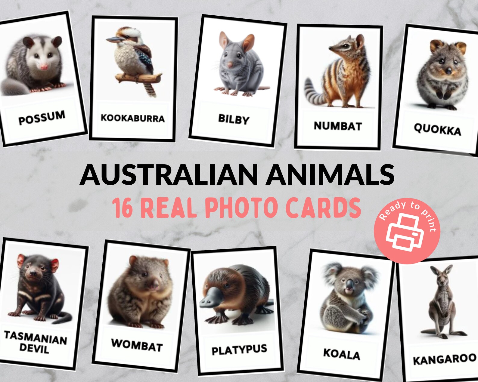 Australian Animal Flashcards - 3 Part Cards - Matching Games - Toddlers ...