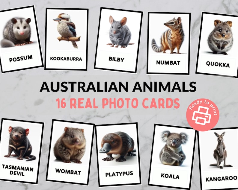 Australian Animal Flashcards - 3 Part Cards - Matching Games - Toddlers ...