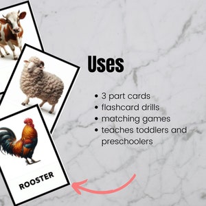 Farm Animal Flashcards Montessori 3 Part Cards Nomenclature Cards ...