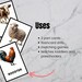 Farm Animal Flashcards: Montessori 3-part Cards (digital Download) - Etsy