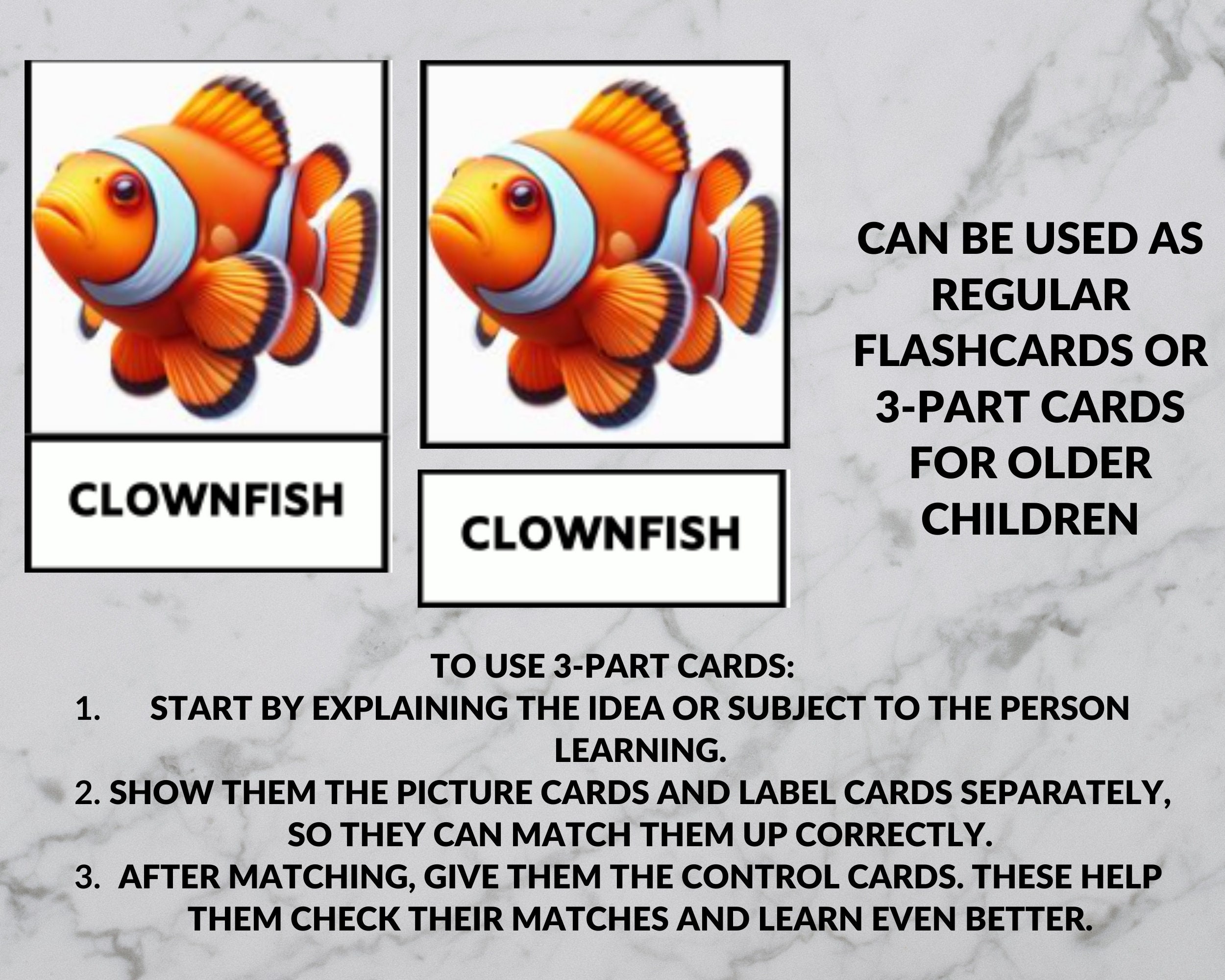 Ocean Animal Flashcards 3 Part Cards Montessori, Toddlers, Preschool ...