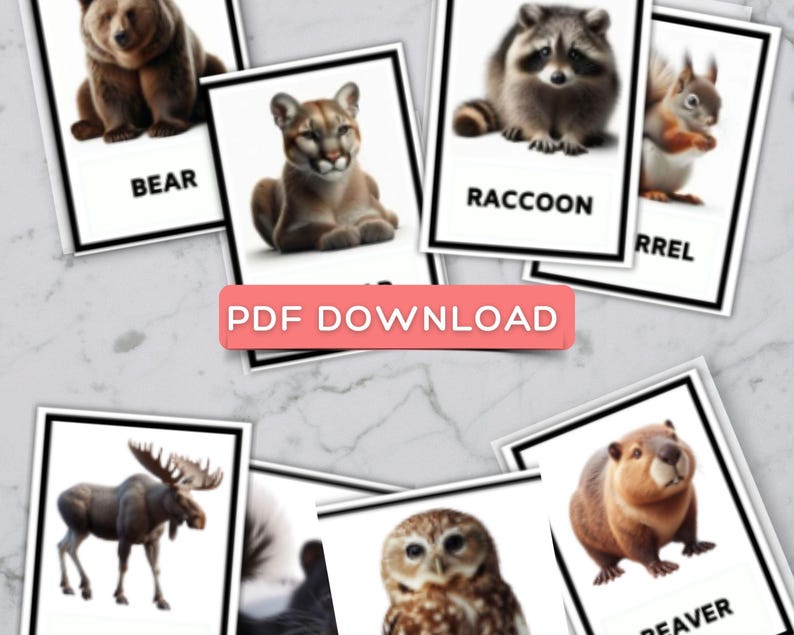Forest Animal Flashcards - Real Pictures Woodland Creatures 3 Part ...