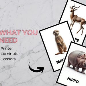 Jungle / Grassland Animal Flashcards - Montessori 3- Part Cards ...