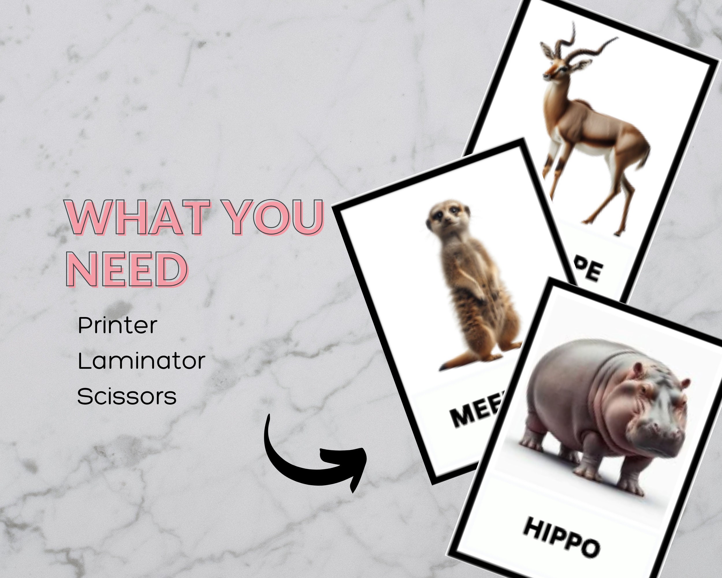 Jungle / Grassland Animal Flashcards - Montessori 3- Part Cards ...