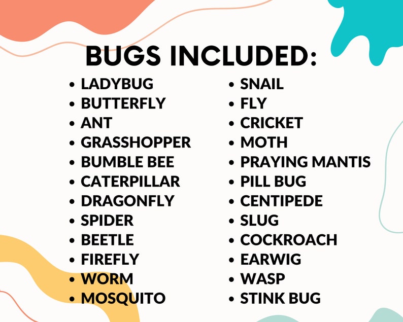 Bug Flashcards - Montessori 3- Part Cards - Nomenclature Cards ...