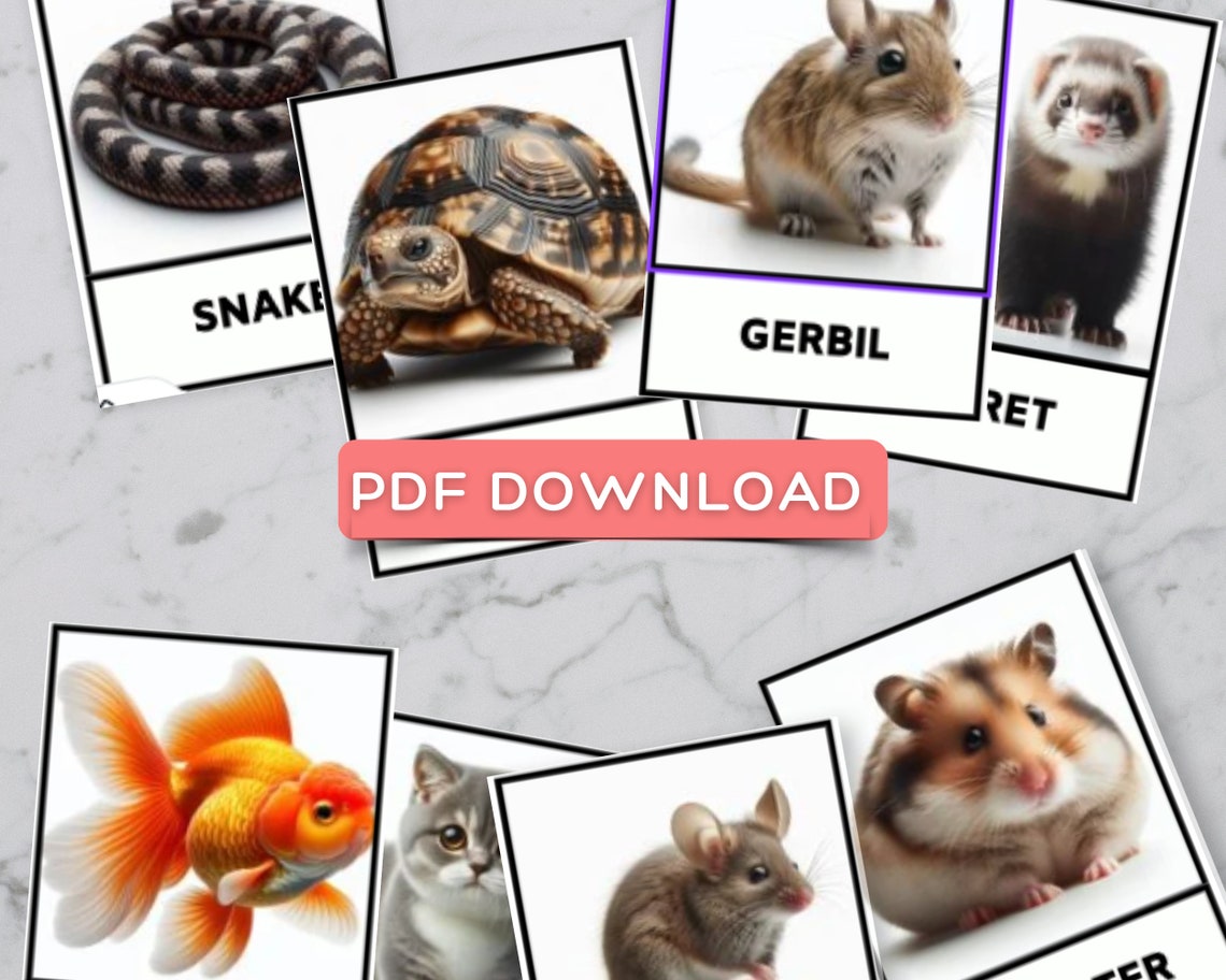 Pet Animal Flashcards Montessori 3 Part Cards Nomenclature Cards ...