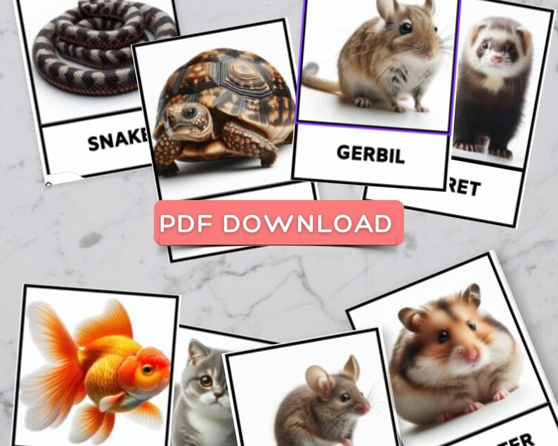 Pet Animal Flashcards Montessori 3 Part Cards Nomenclature Cards ...