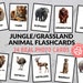 Jungle / Grassland Animal Flashcards - Montessori 3- Part Cards ...