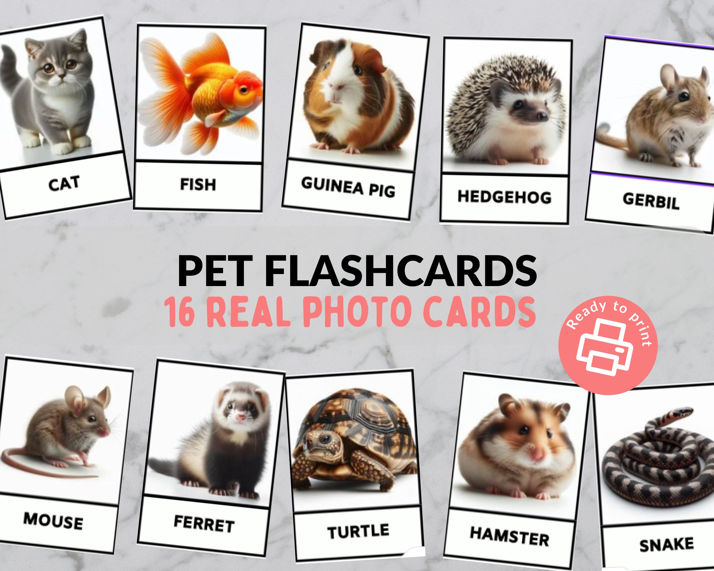 Pet Animal Flashcards Montessori 3 Part Cards Nomenclature Cards ...