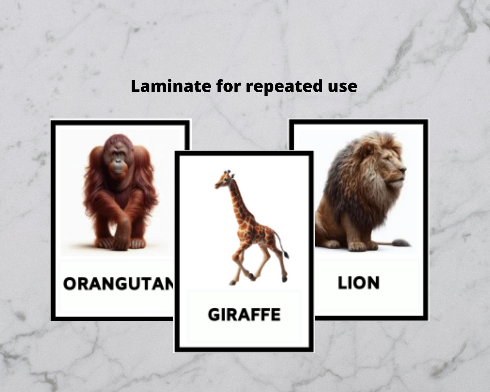 Jungle / Grassland Animal Flashcards - Montessori 3- Part Cards ...