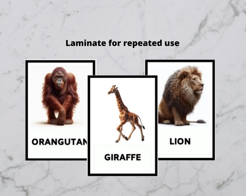 Jungle / Grassland Animal Flashcards - Montessori 3- Part Cards ...