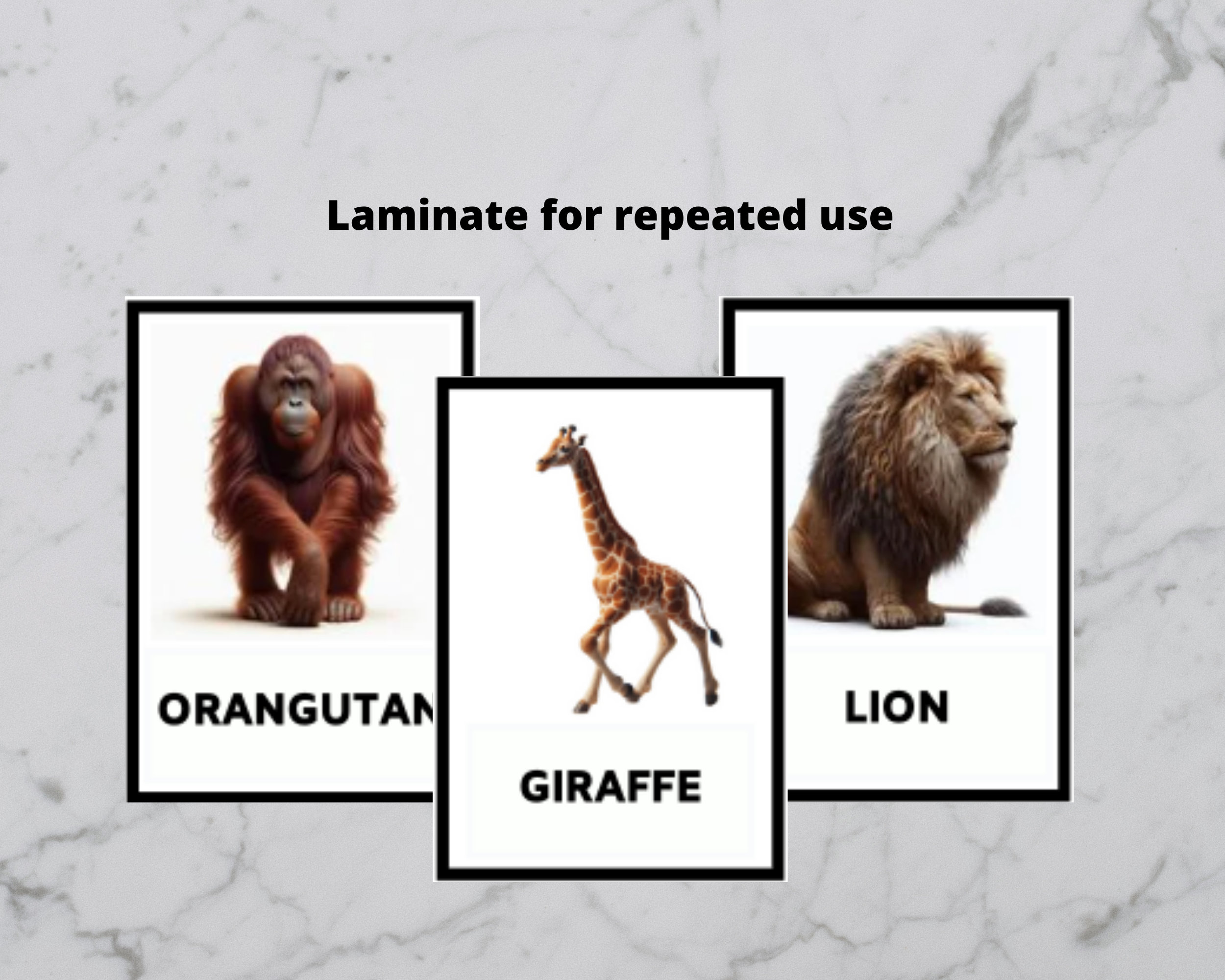 Jungle & Grassland Animal Flashcards: Montessori Nomenclature Cards ...