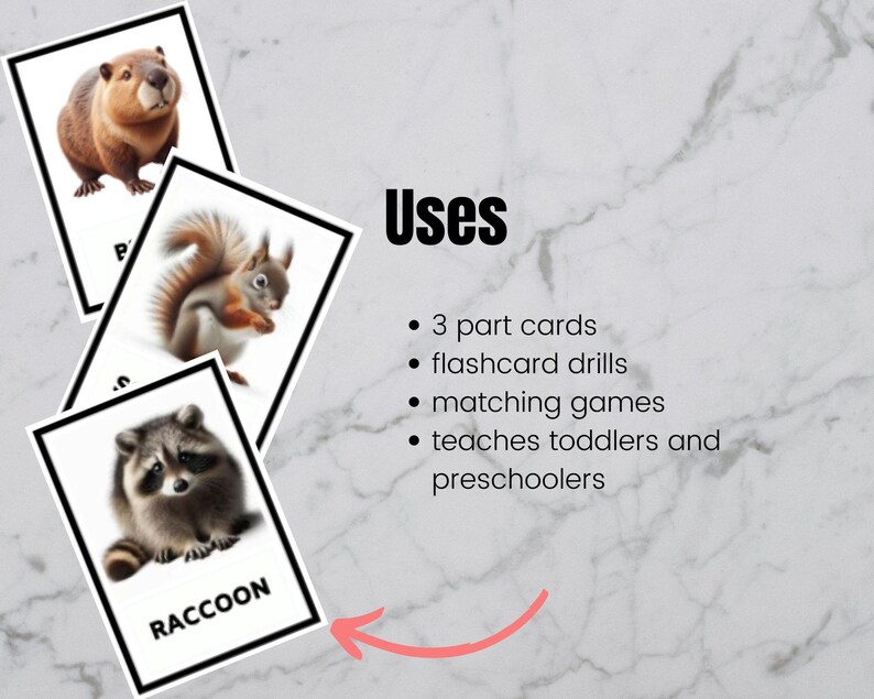 Forest Animal Flashcards - Real Pictures Woodland Creatures 3 Part ...