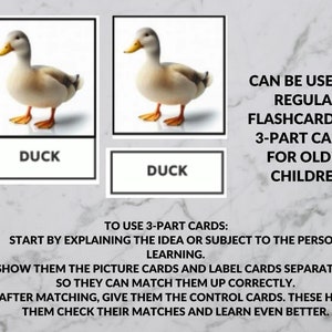 Farm Animal Flashcards: Montessori 3-part Cards (digital Download) - Etsy
