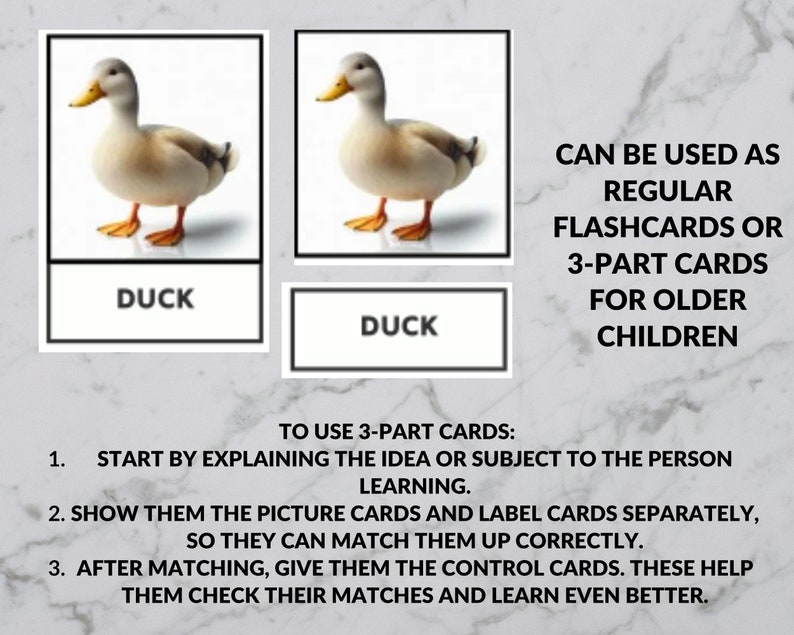 Farm Animal Flashcards Montessori 3 Part Cards Nomenclature Cards ...