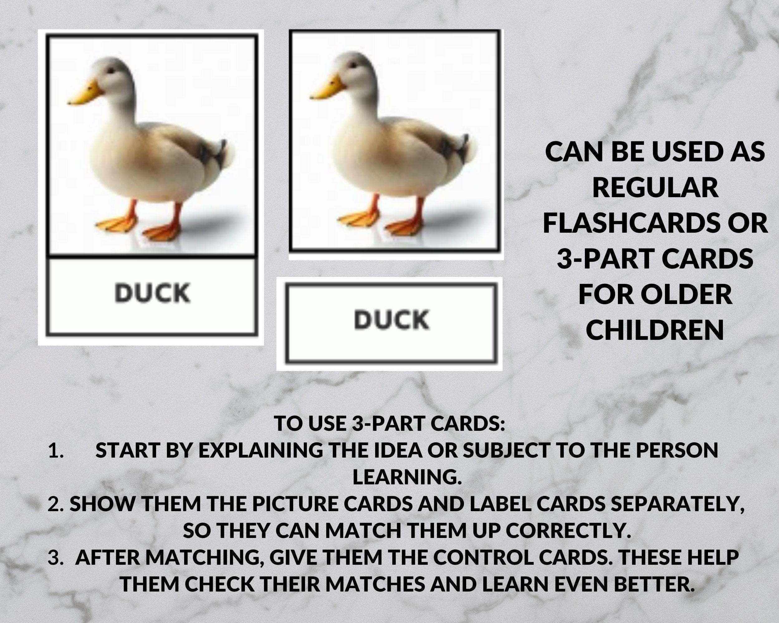 Farm Animal Flashcards Montessori 3 Part Cards Nomenclature Cards ...