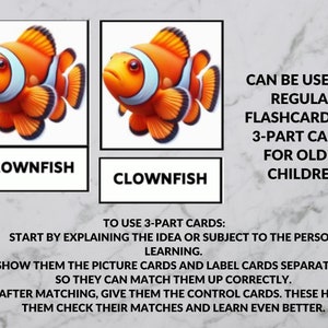 Ocean Animal Flashcards and 3 Part Cards - Montessori, Toddlers ...