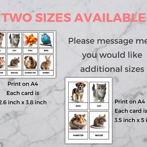 Pet Animal Flashcards - Montessori 3- Part Cards - Nomenclature Cards ...