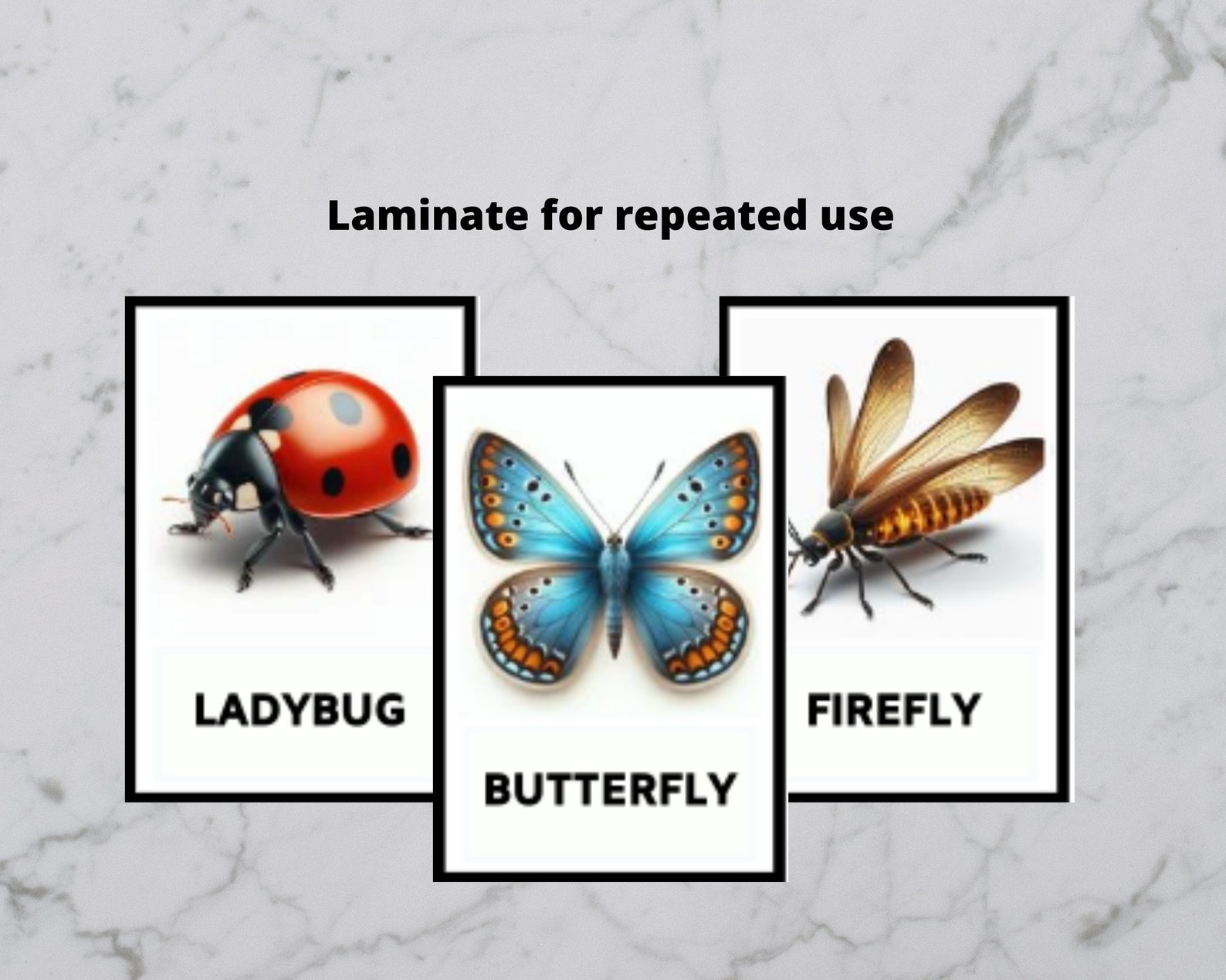 Bug Flashcards - Montessori 3- Part Cards - Nomenclature Cards ...
