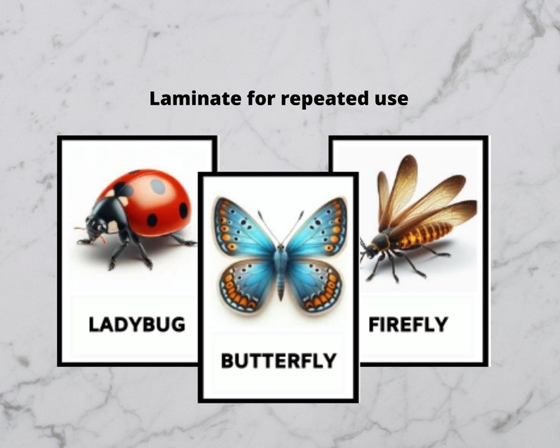 Bug Flashcards - Montessori 3- Part Cards - Nomenclature Cards ...