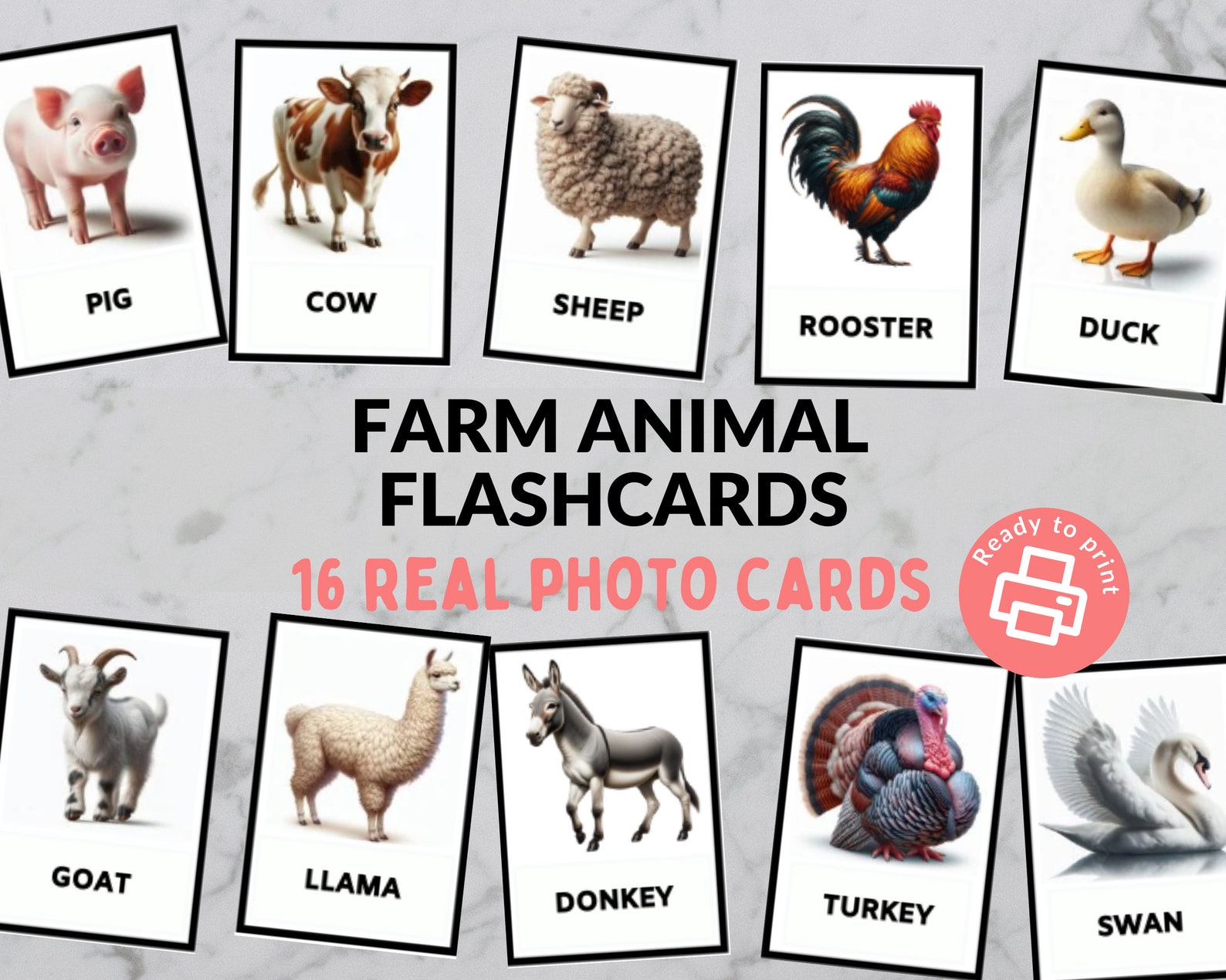 Farm Animal Flashcards Montessori 3 Part Cards Nomenclature Cards ...