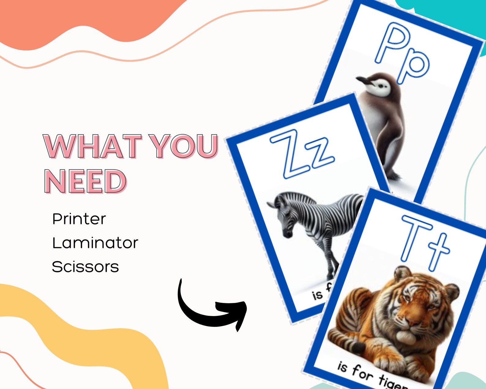 Animal Alphabet Flashcards - Learn Abcs - Real Animal Photos - Toddlers ...