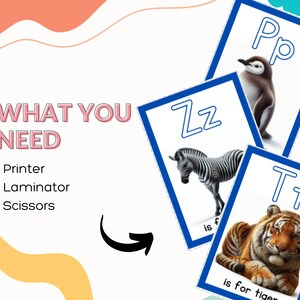 Animal Alphabet Flashcards - Learn Abcs - Real Animal Photos - Toddlers ...