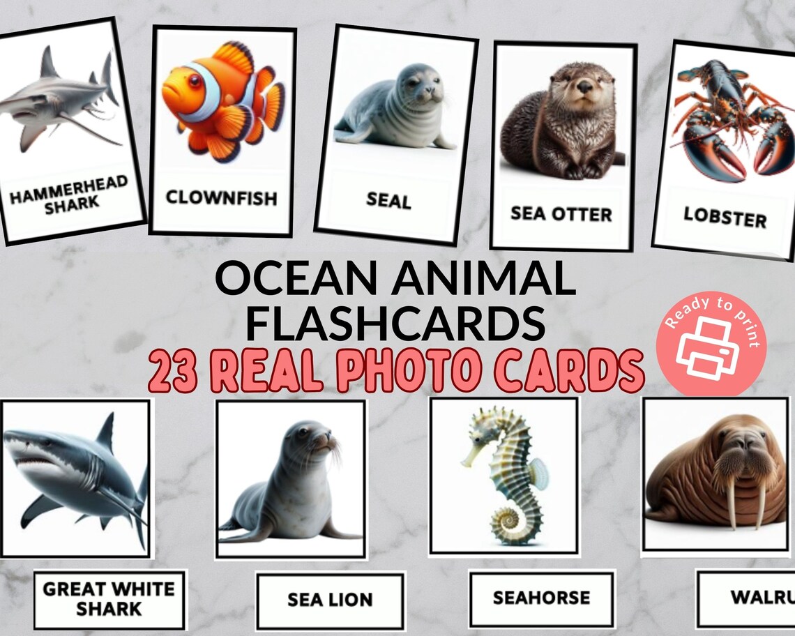 Ocean Animal Flashcards: Montessori Learning Cards (digital Download ...
