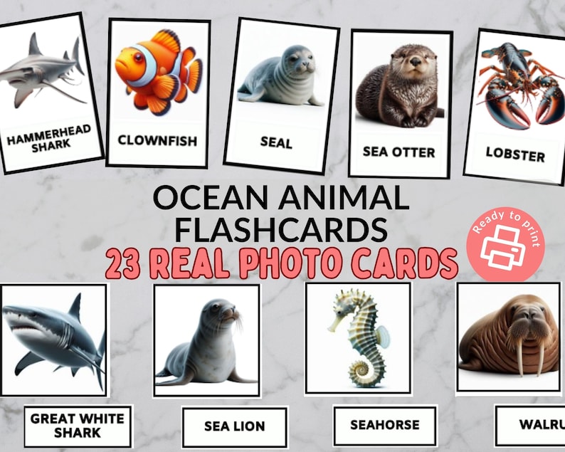 Ocean Animal Flashcards and 3 Part Cards - Montessori, Toddlers ...