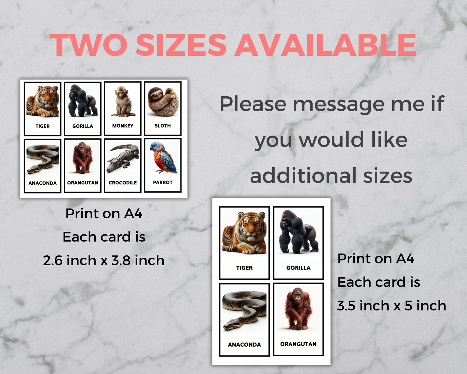 Jungle & Grassland Animal Flashcards: Montessori Nomenclature Cards ...