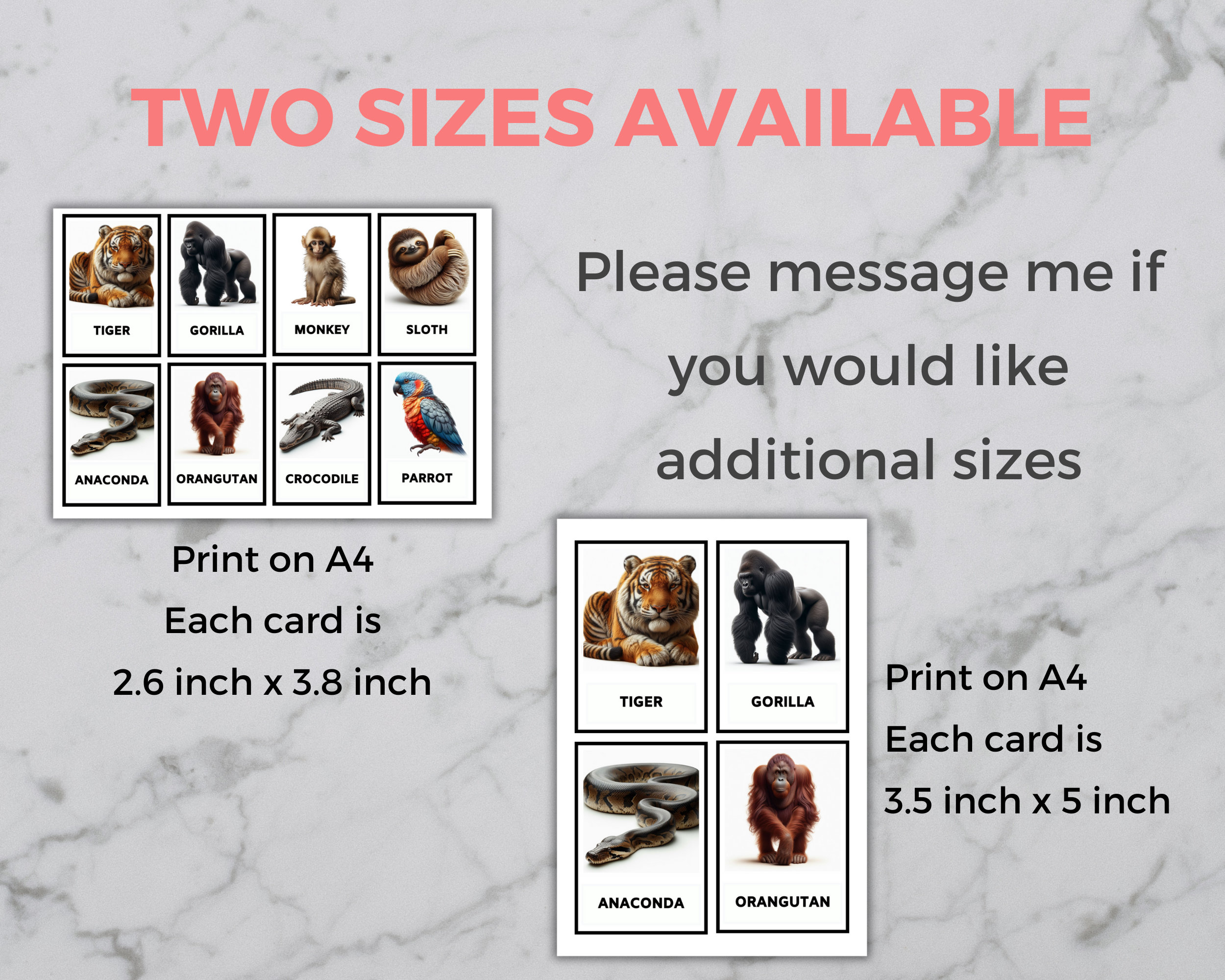 Jungle & Grassland Animal Flashcards: Montessori Nomenclature Cards ...