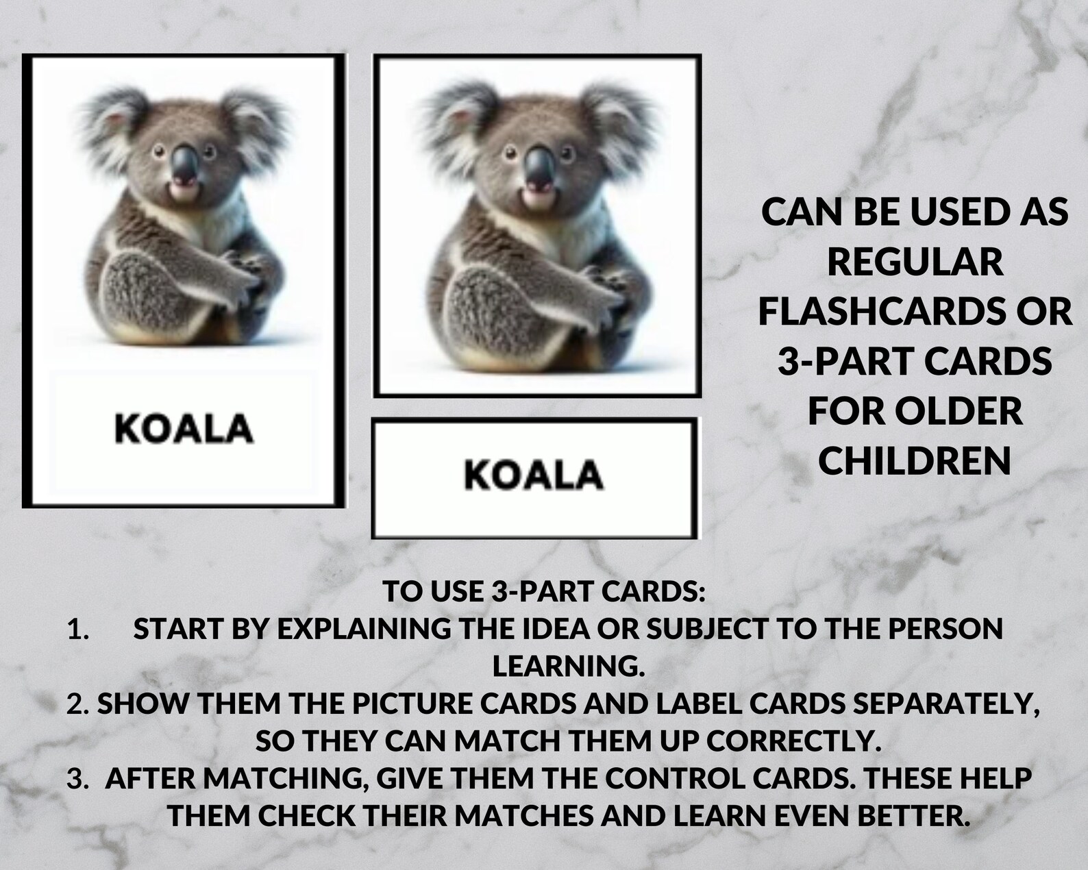 Australian Animal Flashcards - 3 Part Cards - Matching Games - Toddlers ...