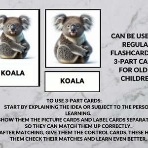 Australian Animal Flashcards - 3 Part Cards - Matching Games - Toddlers ...