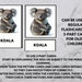 Australian Animal Flashcards - 3 Part Cards - Matching Games - Toddlers ...