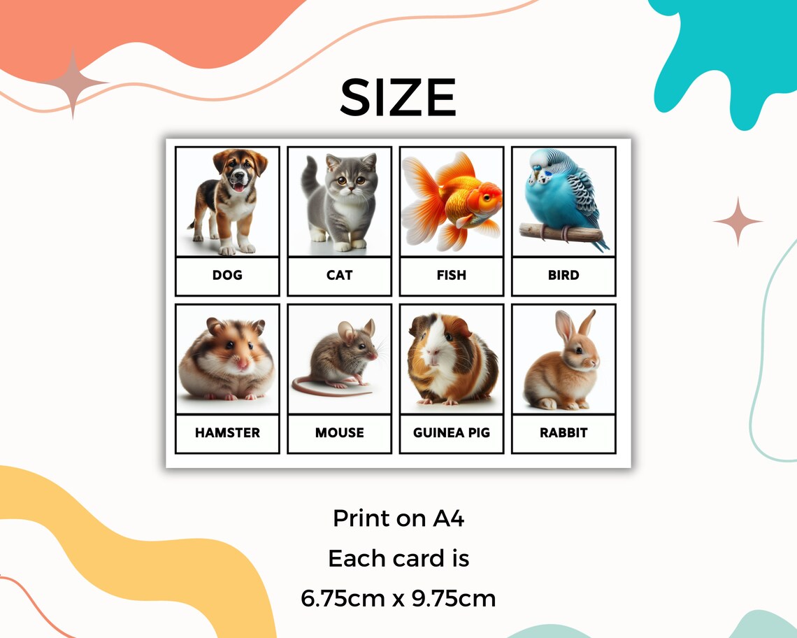 Animal Flashcards BUNDLE Montessori 3 Part Cards Nomenclature Cards ...