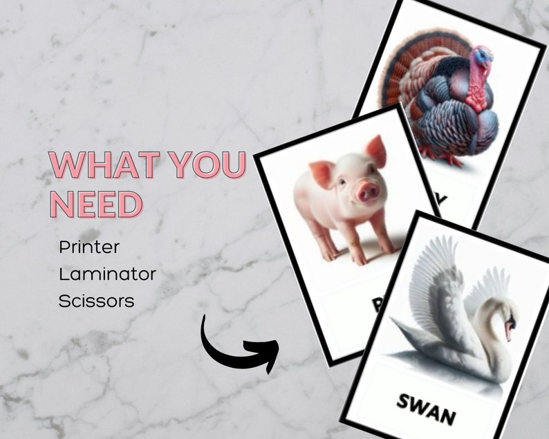 Farm Animal Flashcards Montessori 3 Part Cards Nomenclature Cards ...