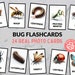 Bug Flashcards Montessori 3 Part Cards Nomenclature Cards Toddlers ...