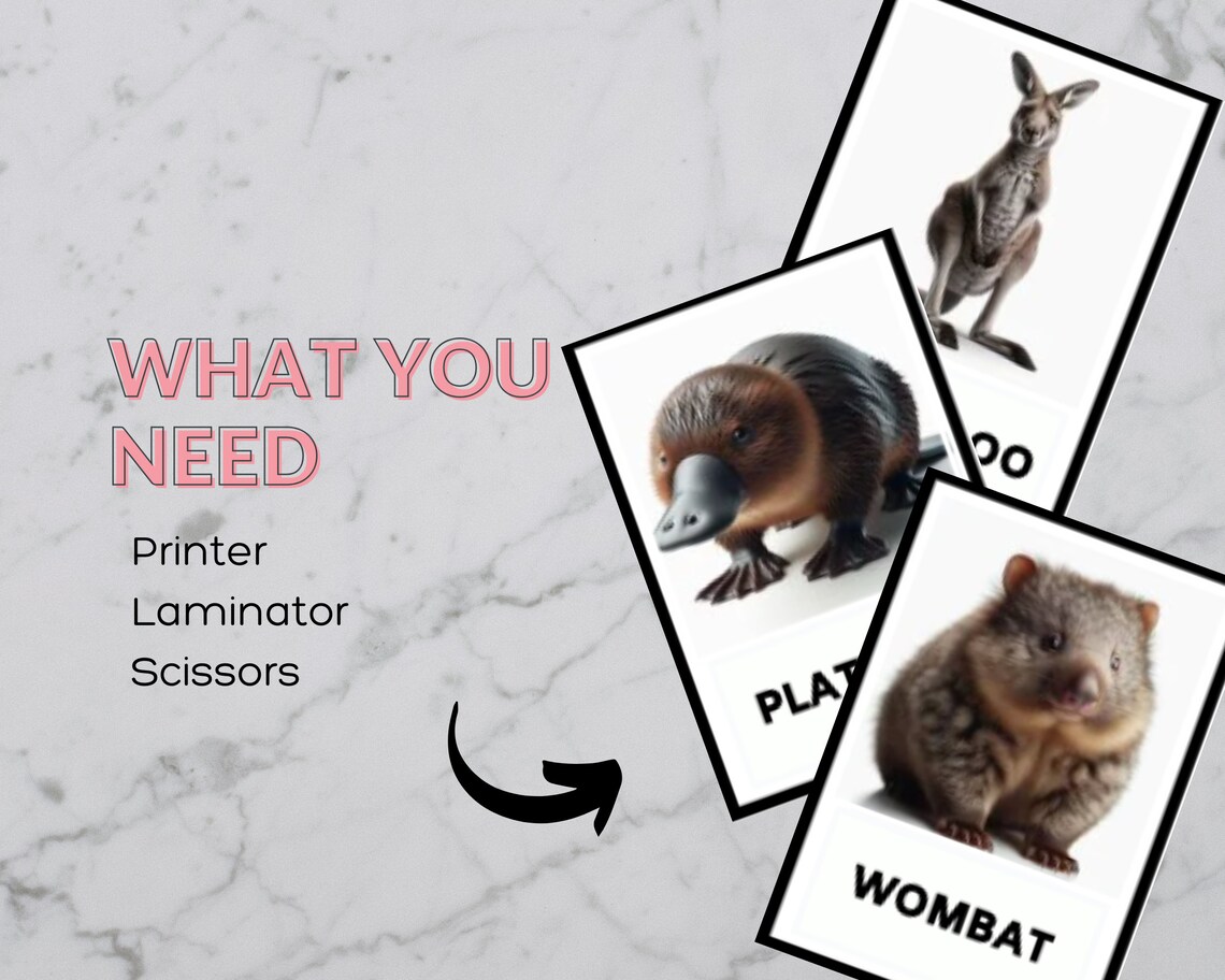 Australian Animal Flashcards 3 Part Cards Matching Games Toddlers ...