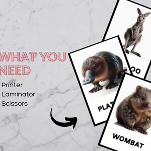 Australian Animal Flashcards - 3 Part Cards - Matching Games - Toddlers ...