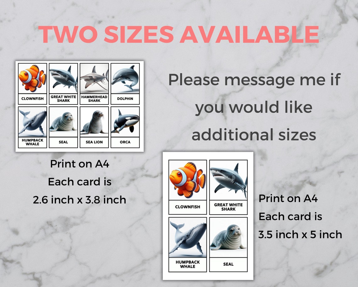 Ocean Animal Flashcards 3 Part Cards Montessori, Toddlers, Preschool ...