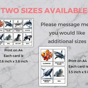 Ocean Animal Flashcards 3 Part Cards Montessori, Toddlers, Preschool ...