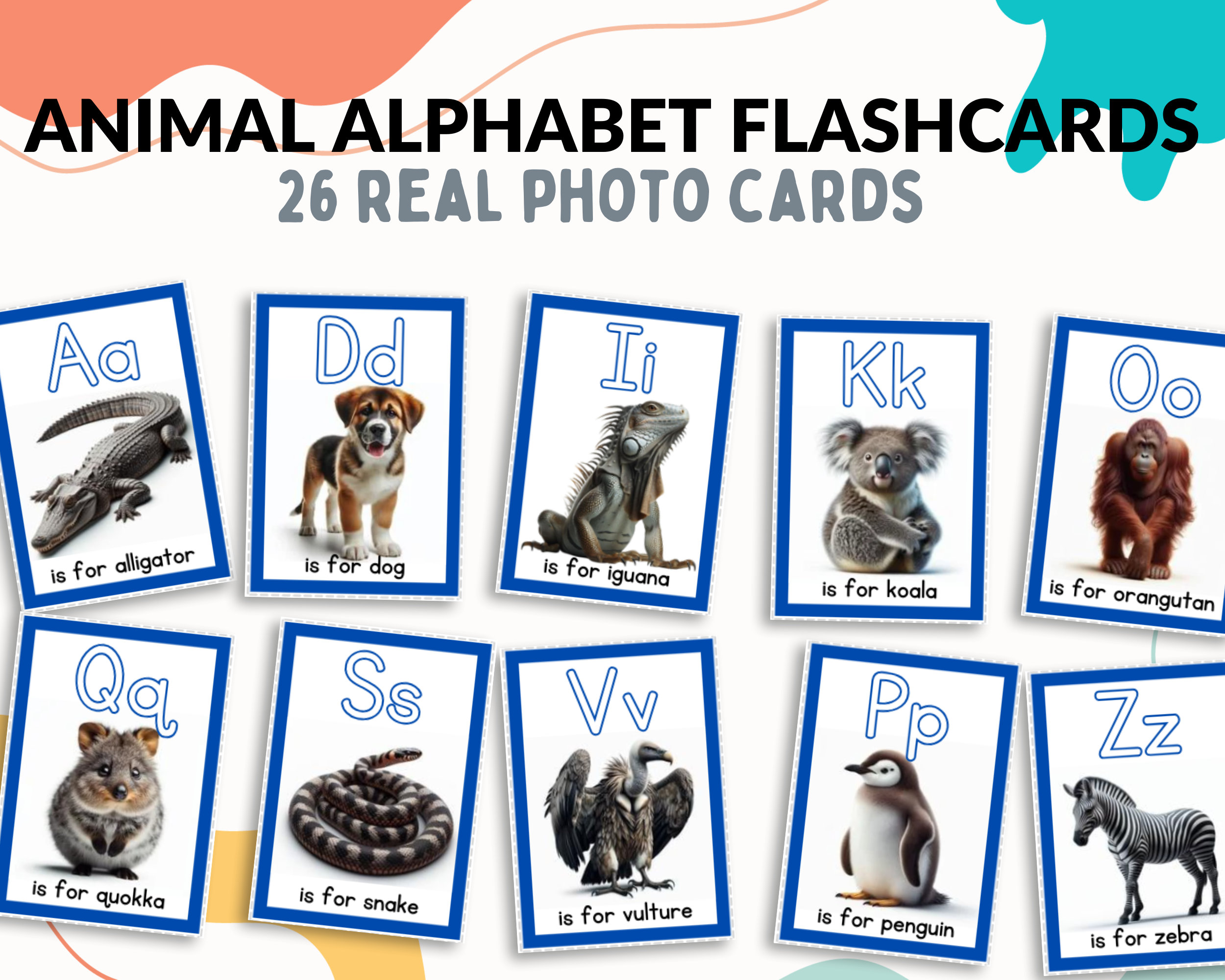 Animal Alphabet Flashcards - Learn Abcs - Real Animal Photos - Toddlers ...