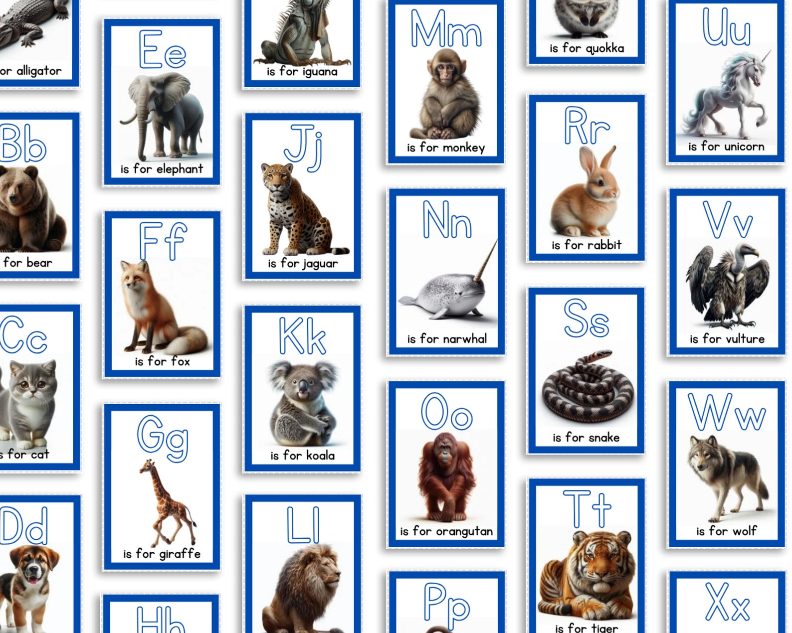 Animal Alphabet Flashcards - Learn Abcs - Real Animal Photos - Toddlers ...