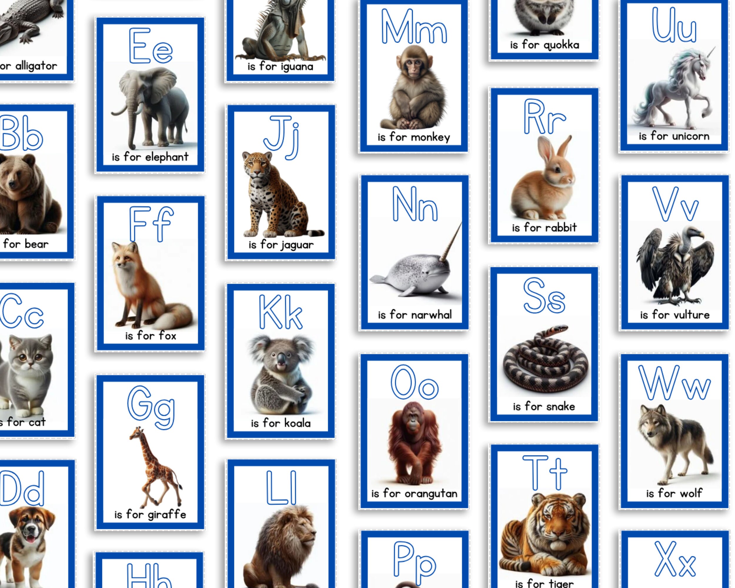 Animal Alphabet Flashcards - Learn Abcs - Real Animal Photos - Toddlers ...