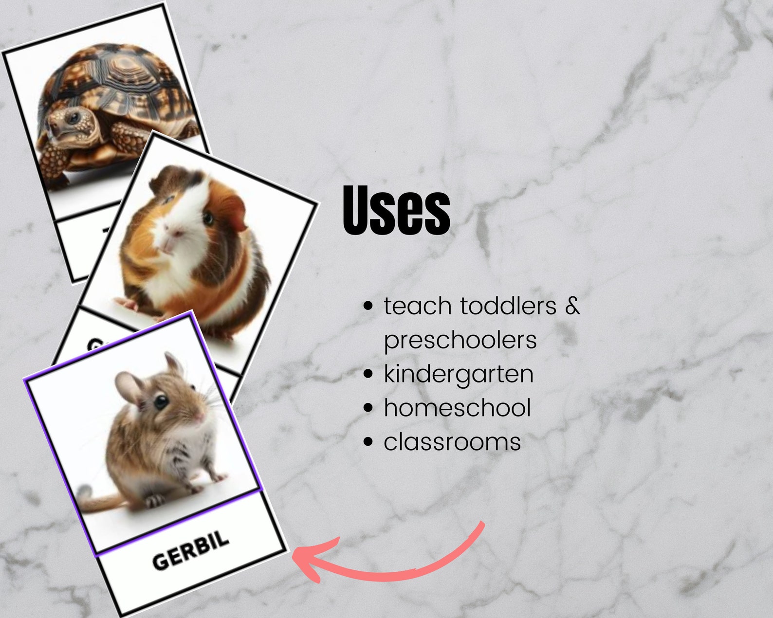 Pet Animal Flashcards Montessori 3 Part Cards Nomenclature Cards ...