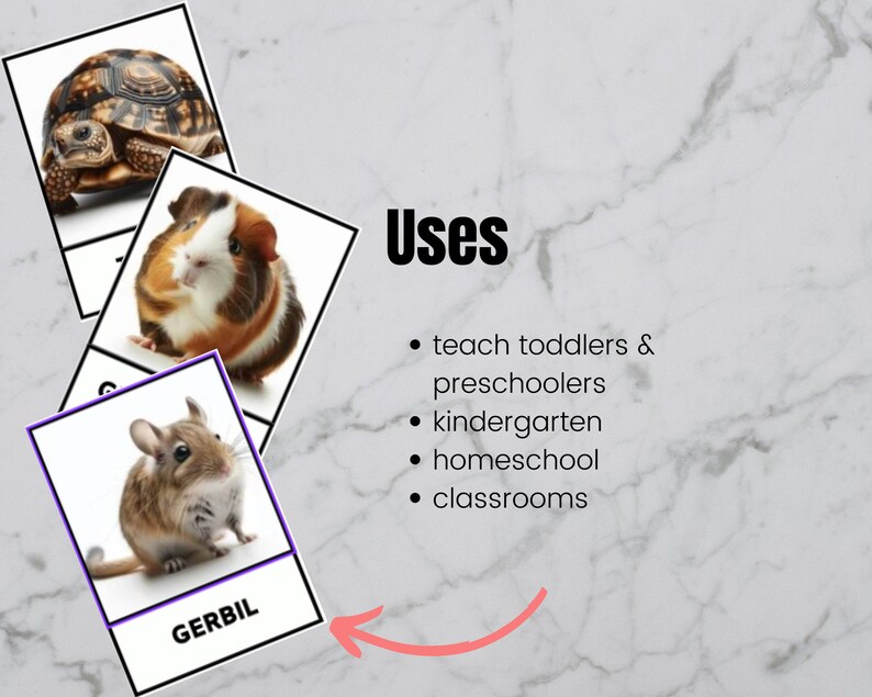 Pet Animal Flashcards Montessori 3 Part Cards Nomenclature Cards ...