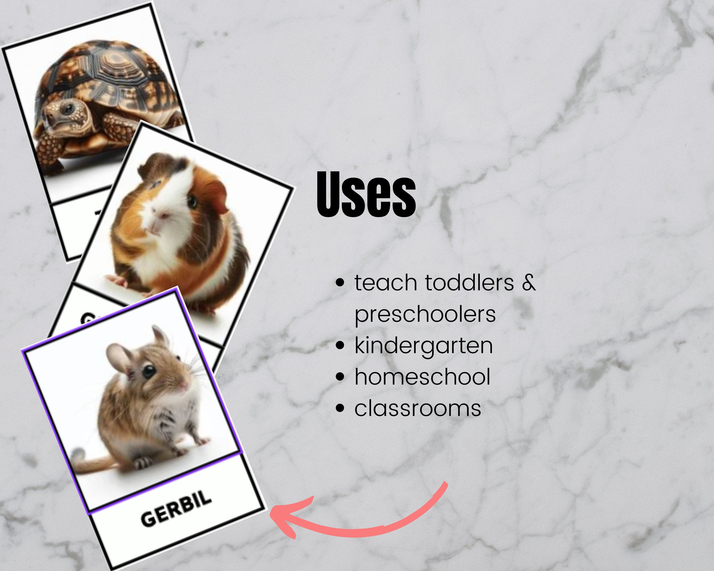 Pet Animal Flashcards Montessori 3 Part Cards Nomenclature Cards ...