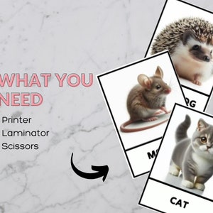 Pet Animal Flashcards - Montessori 3- Part Cards - Nomenclature Cards ...